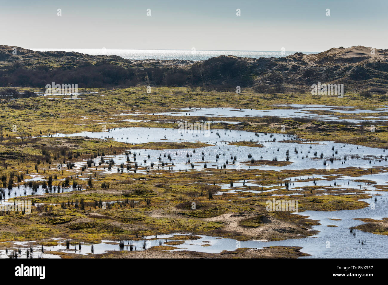 Shell island wales hi-res stock photography and images - Alamy