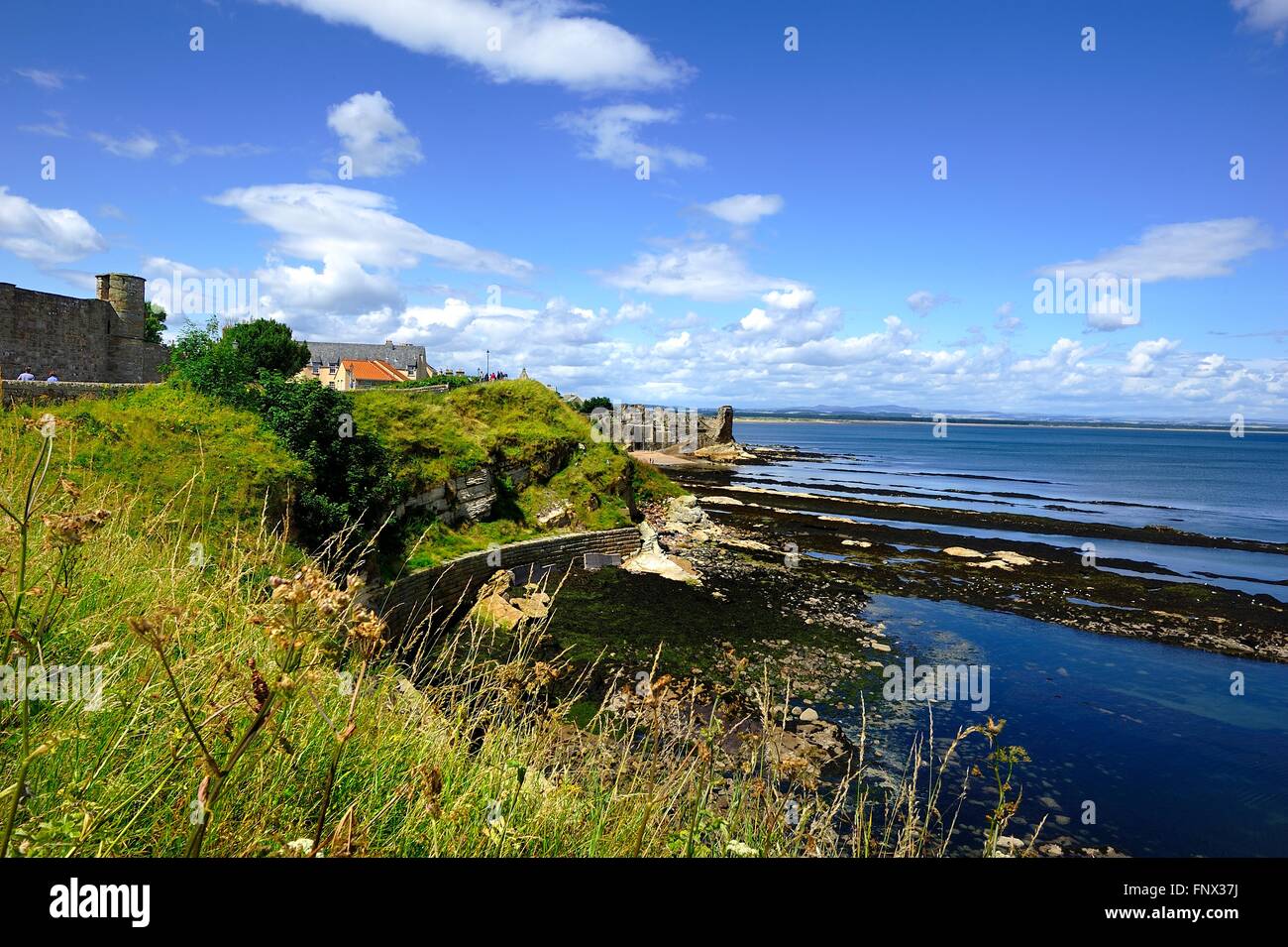 The coastline of St Andrew's Scotland Stock Photo - Alamy