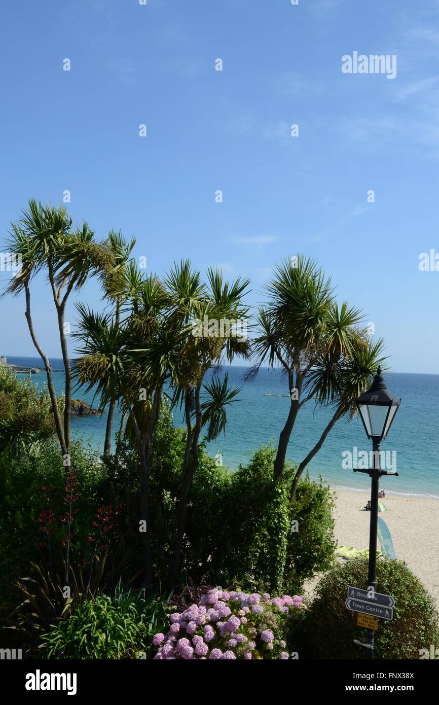 View through the palm trees at Porthminster Beach, Cornwall, UK Stock ...