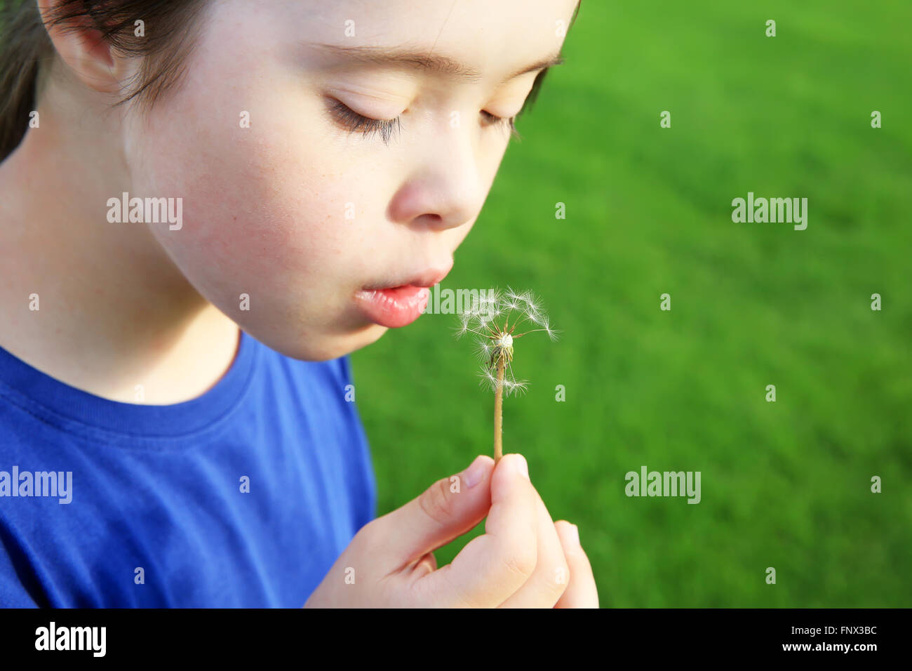 Blowing dandelion hi-res stock photography and images - Alamy