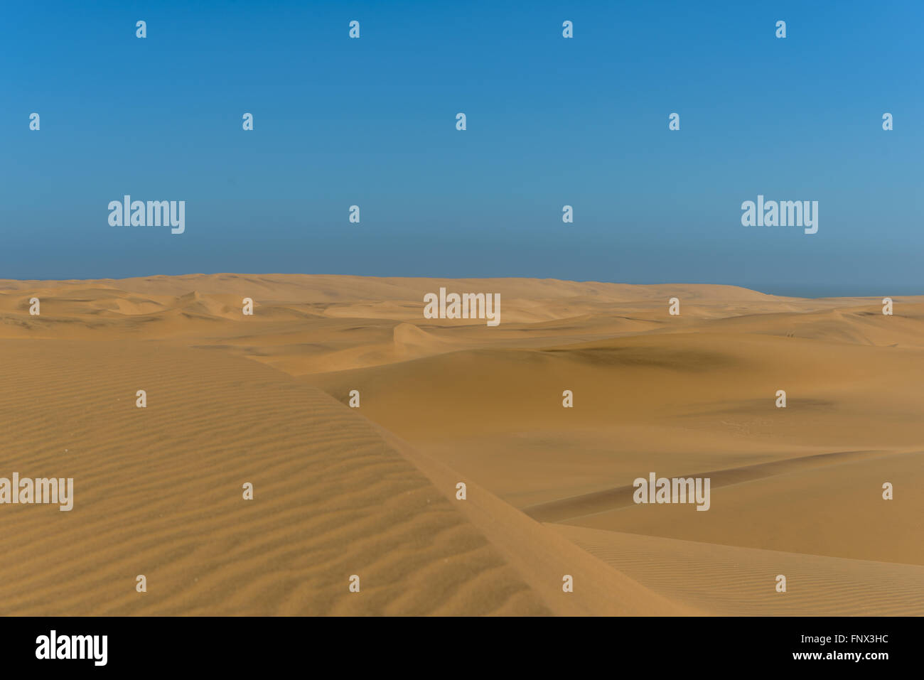 Sand desert shore hi-res stock photography and images - Alamy
