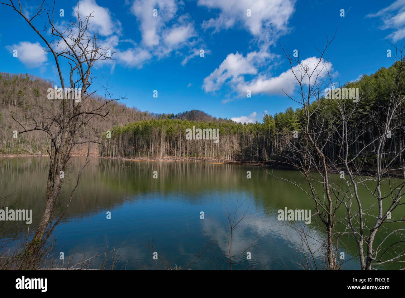 Watauga Lake High Resolution Stock Photography and Images - Alamy