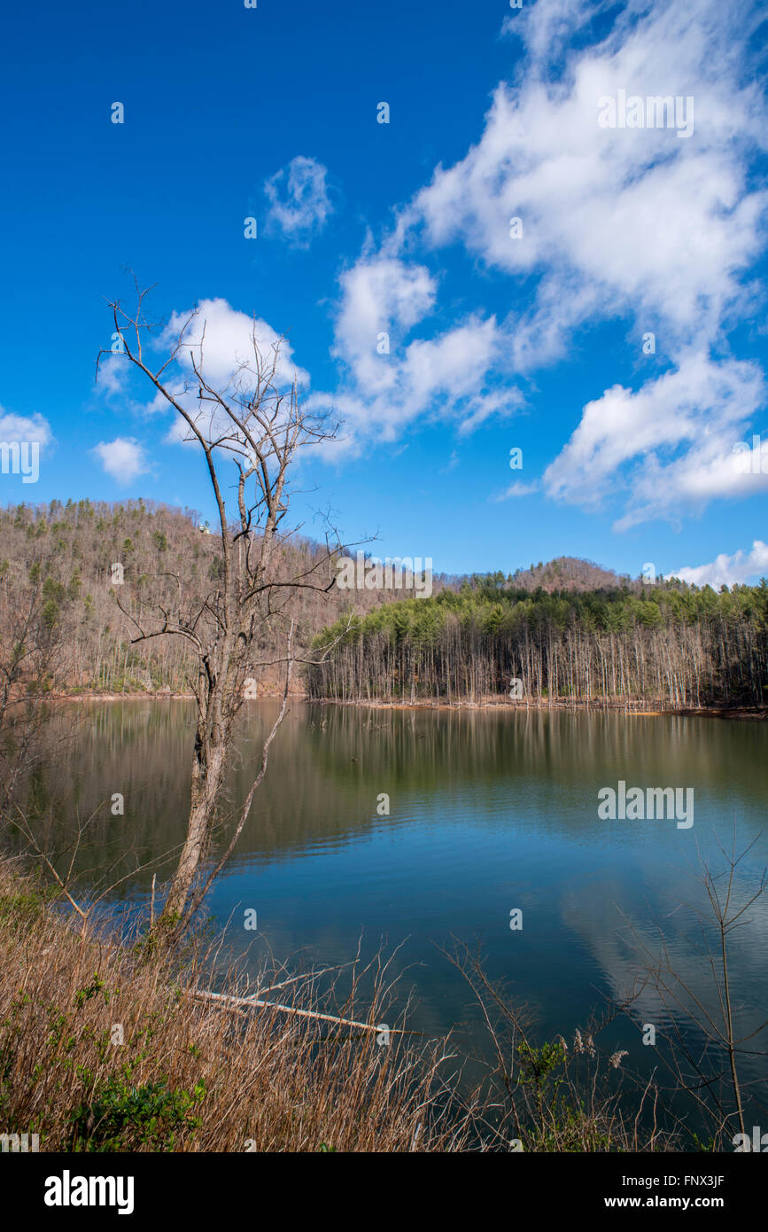 Lake Watauga 1 Tennessee Stock Photo - Alamy