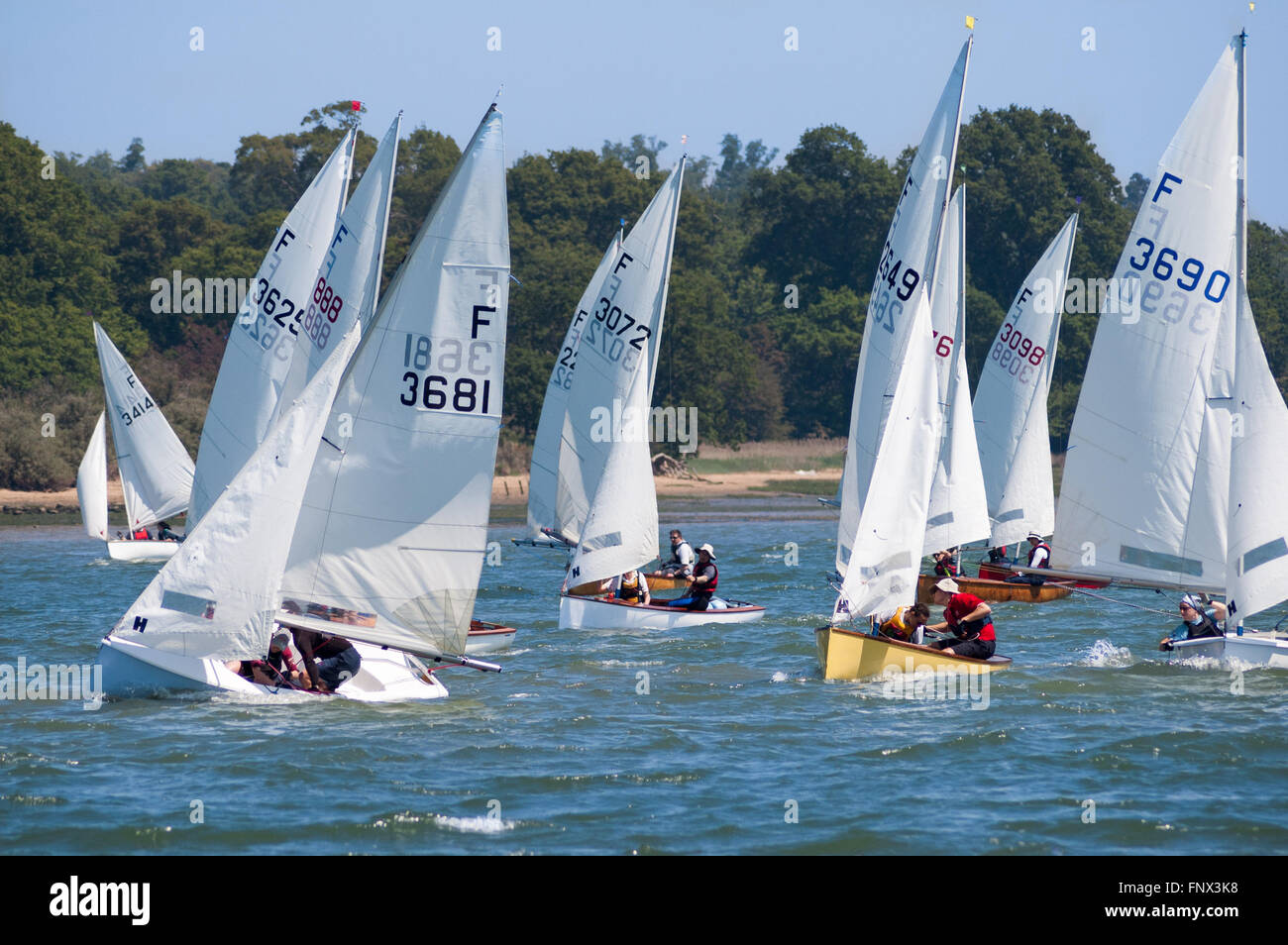 Firefly sailing race of the Royal Harwich Yacht Club at River Orwell in ...