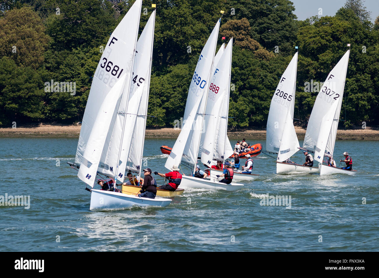 Firefly sailing race of the Royal Harwich Yacht Club at River Orwell ...