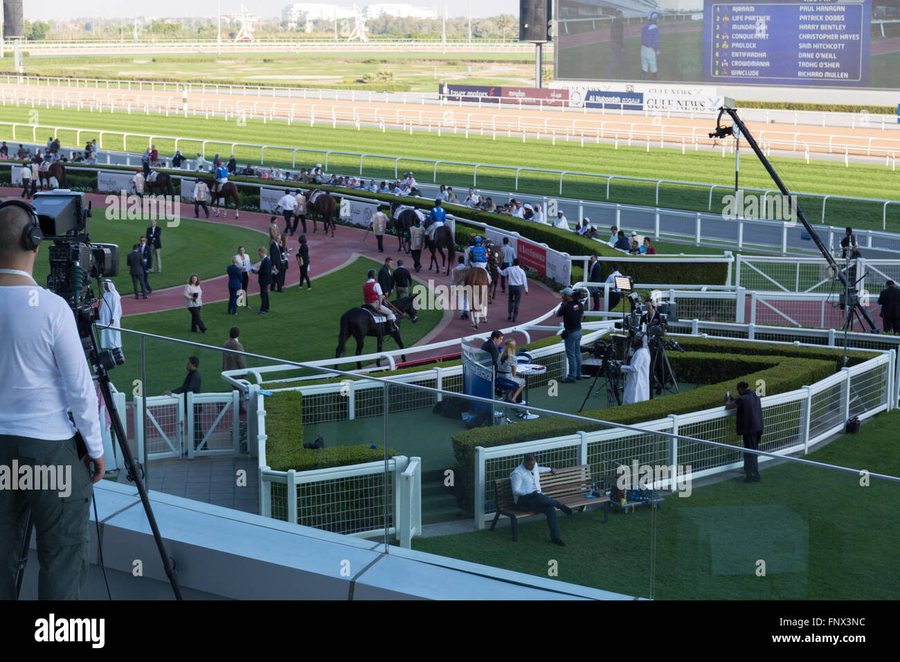 Overlooking the paddock at Meydan racecourse Dubai Stock Photo - Alamy