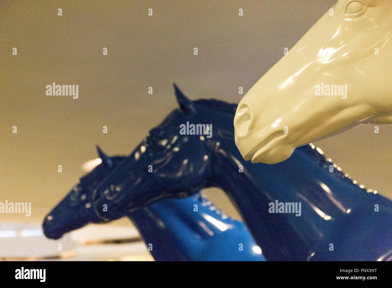 Inside racetrack hi-res stock photography and images - Alamy