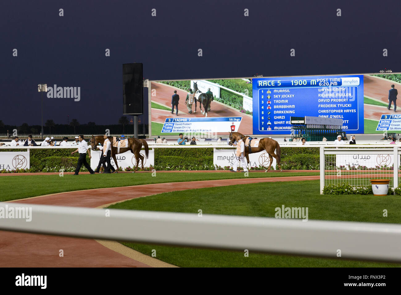 The Paddock at the Meydan racecourse Dubai Stock Photo - Alamy