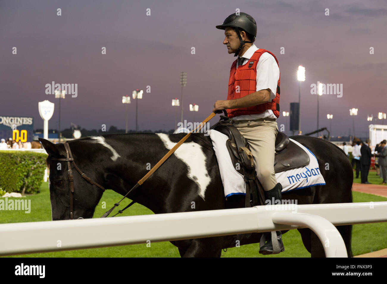 The paddock at The Meydan racecourse, Dubai Stock Photo - Alamy