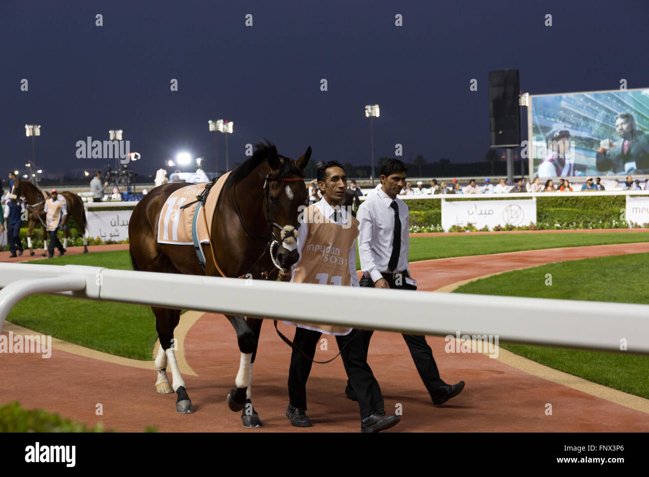 Horses and jokey in the paddock at the Meydan racecourse Stock Photo ...