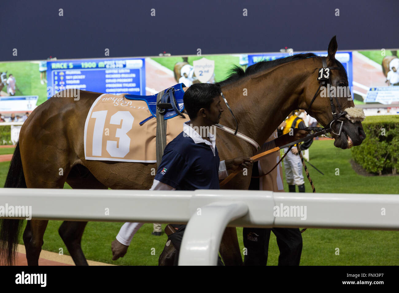 Horses and jokey in the paddock at the Meydan racecourse Stock Photo ...