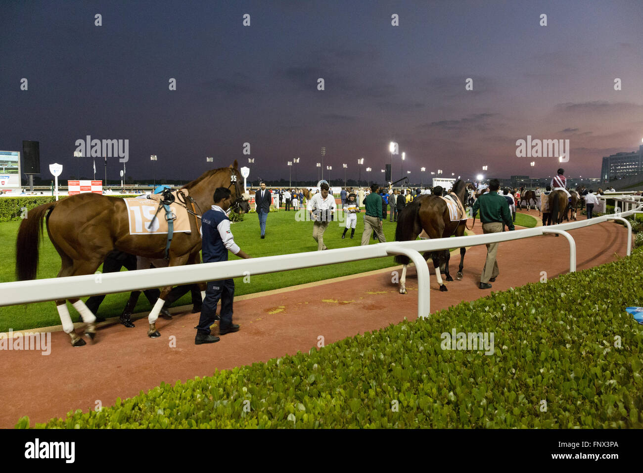 Horses and jokey in the paddock at the Meydan racecourse Stock Photo ...