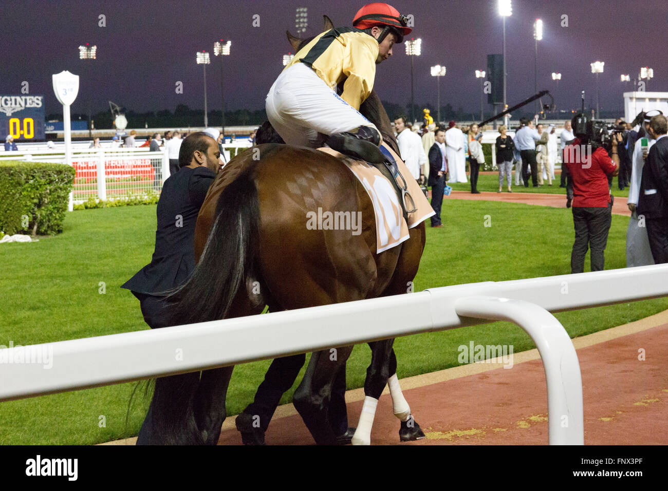 Horses and jokey in the paddock at the Meydan racecourse Stock Photo ...