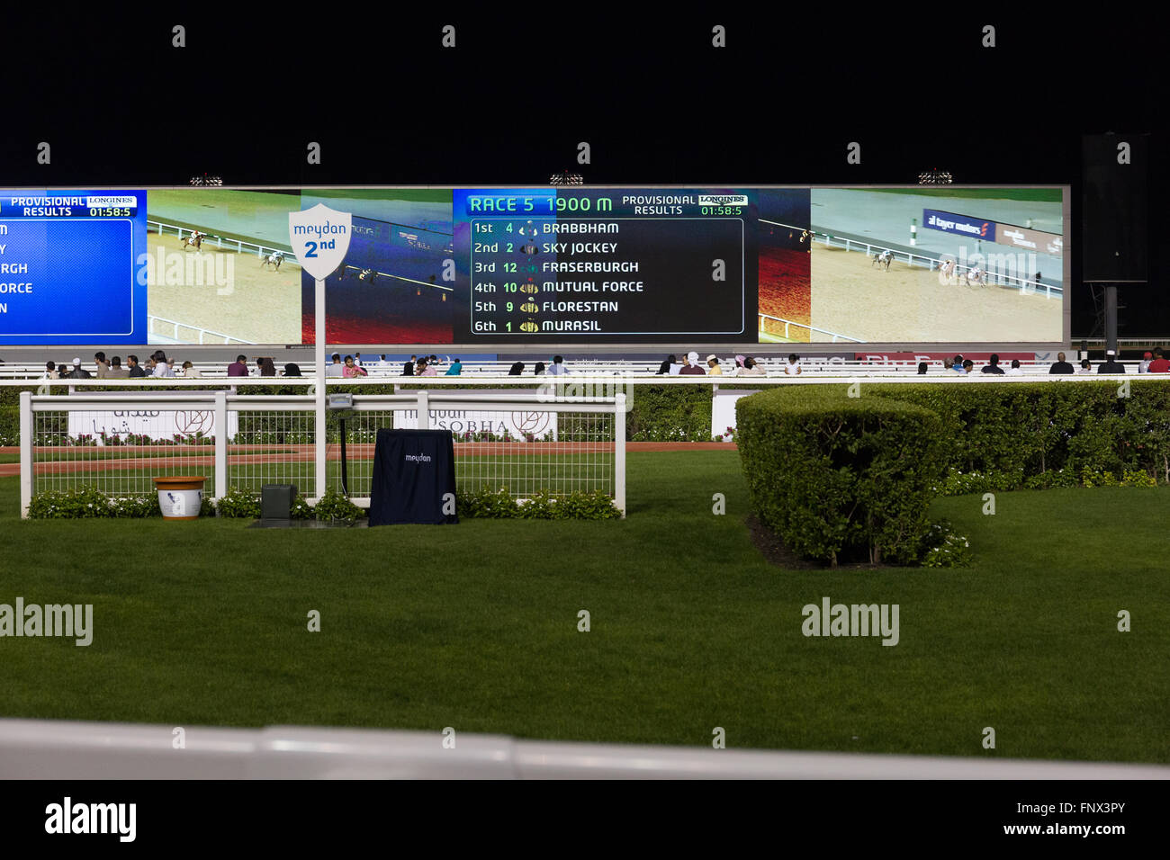 The paddock at the Meydan racecourse, Dubai Stock Photo - Alamy