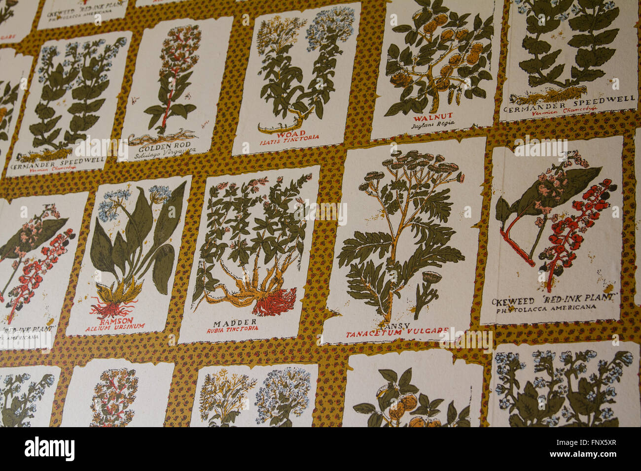 Vintage flower themed wallpaper Stock Photo - Alamy