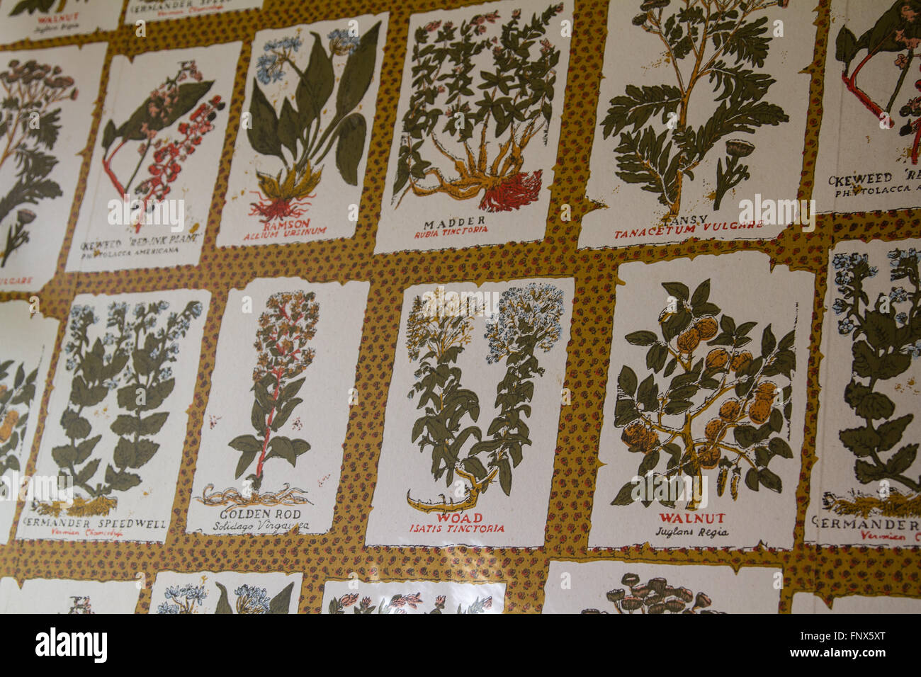 Vintage flower themed wallpaper Stock Photo - Alamy