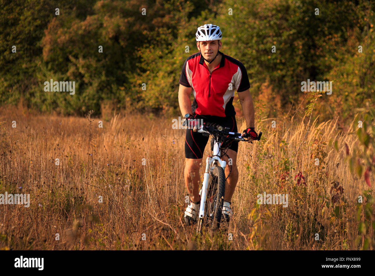 Man is riding a mountain bike in the field Stock Photo - Alamy