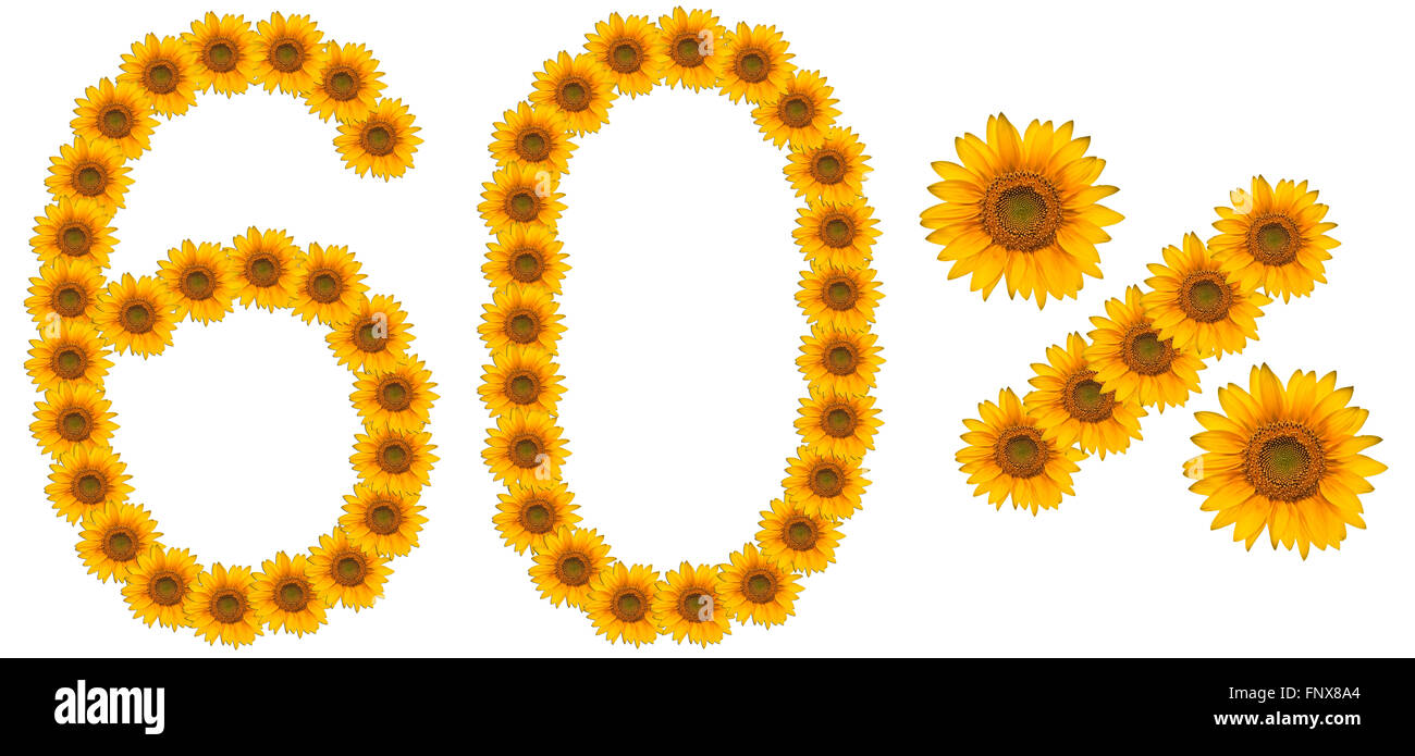 figure of 60% of the written text colors sunflowers Stock Photo - Alamy