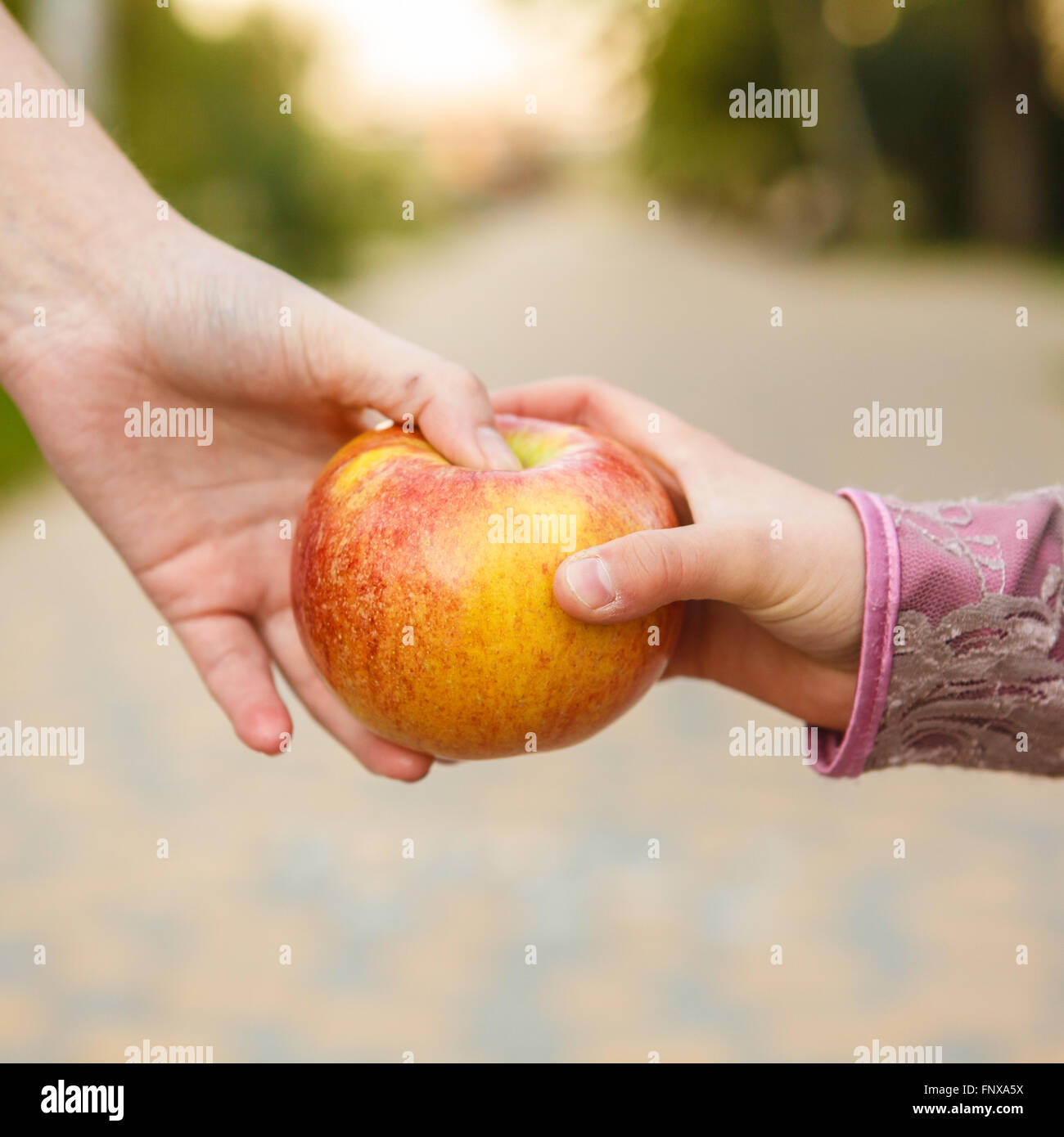 woman giving an apple girl hands closeup Stock Photo - Alamy