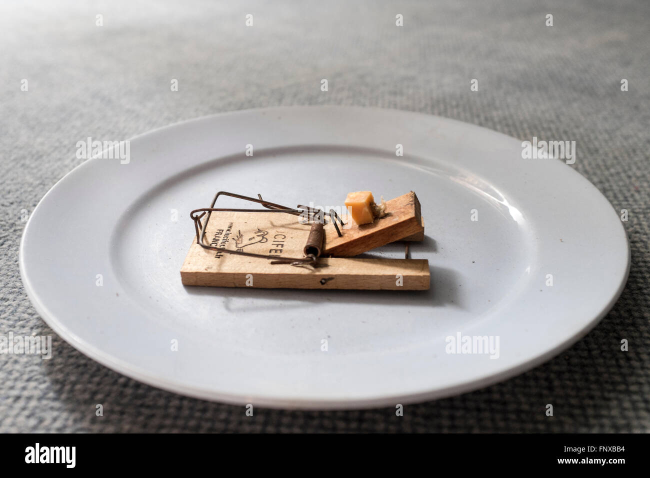 Mouse cheese plate hi-res stock photography and images - Alamy