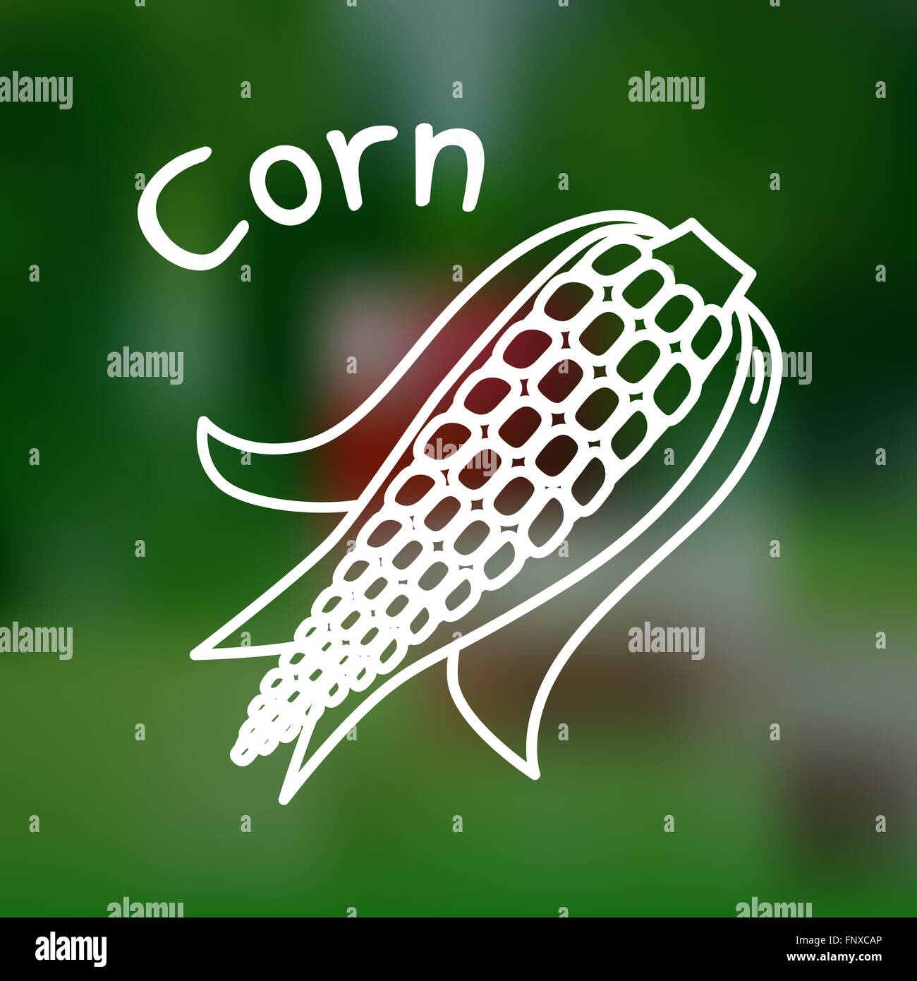 White thin line icon of corn with name on mesh background Stock Vector ...