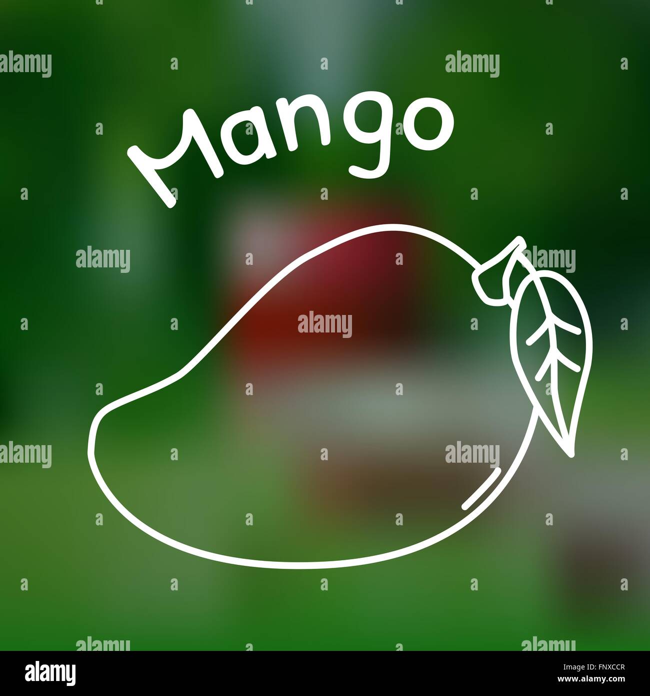 White thin line icon of mango with name on mesh background Stock Vector ...