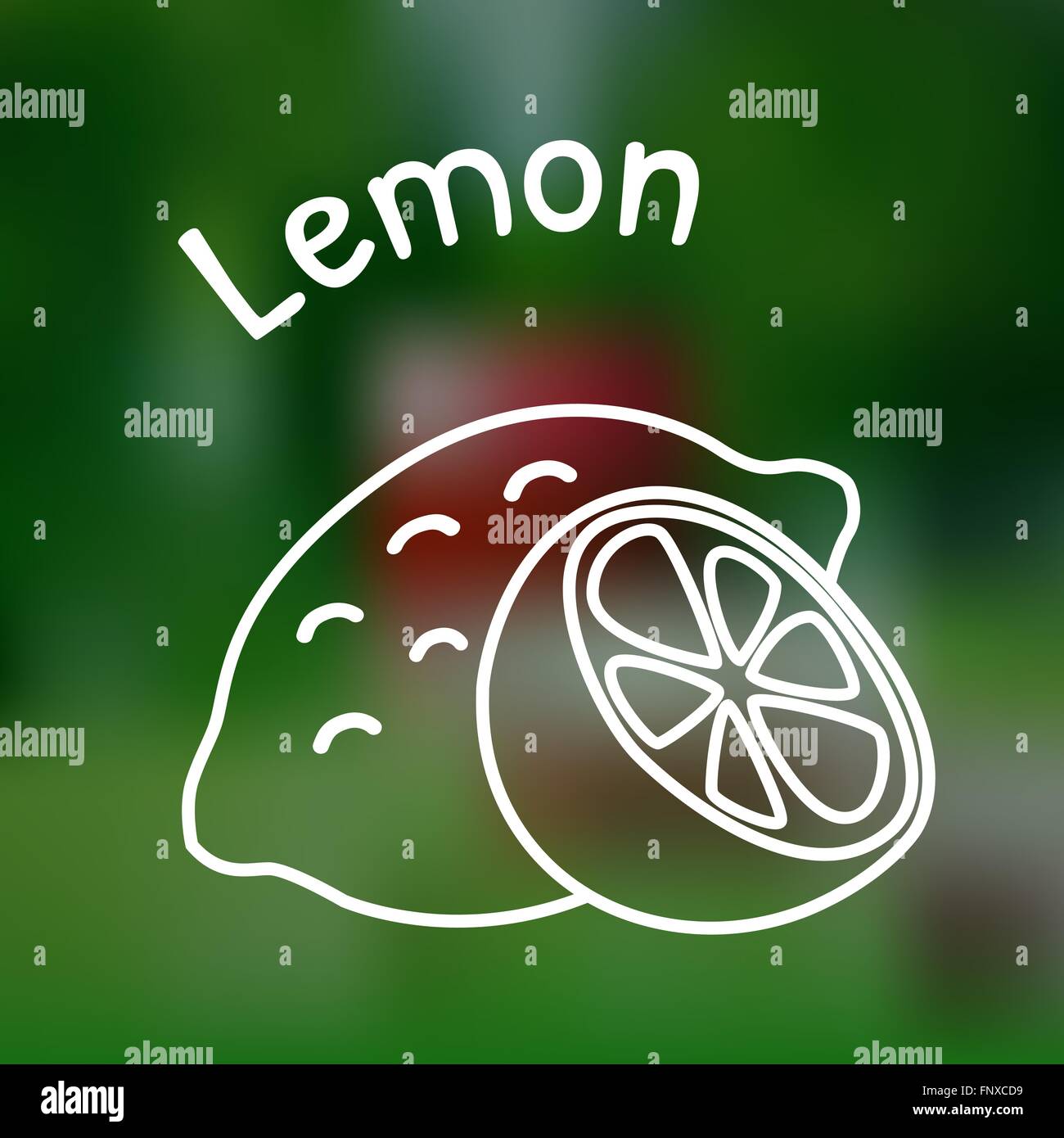 White thin line icon of lemon with name on mesh background Stock Vector ...