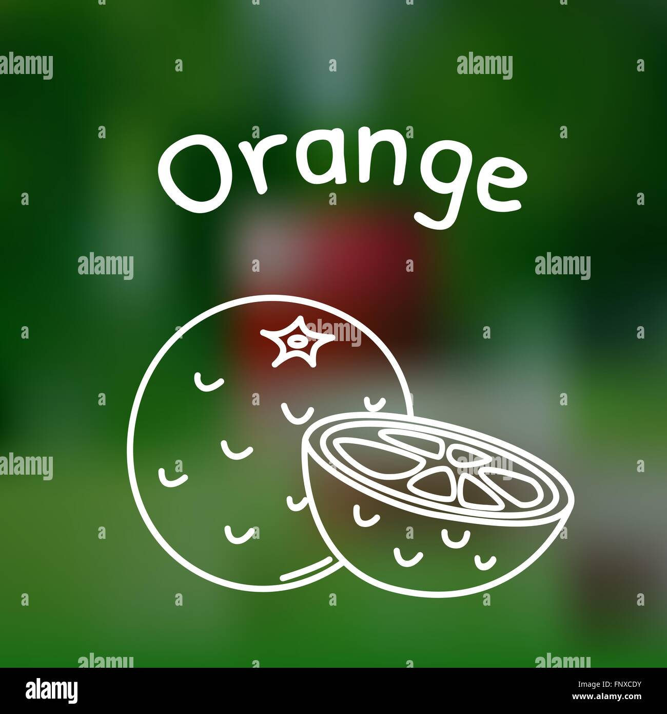 Organic farm orange white Stock Vector Images - Alamy