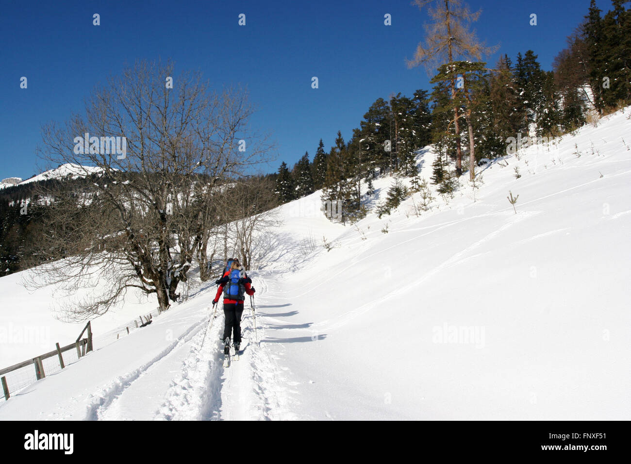 People going uphill with ski Stock Photo - Alamy