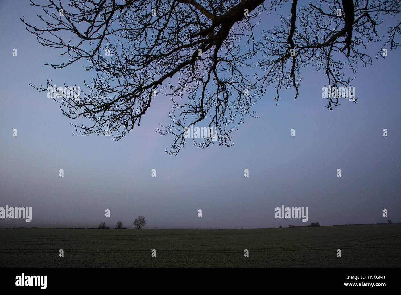 Simple field hi-res stock photography and images - Alamy