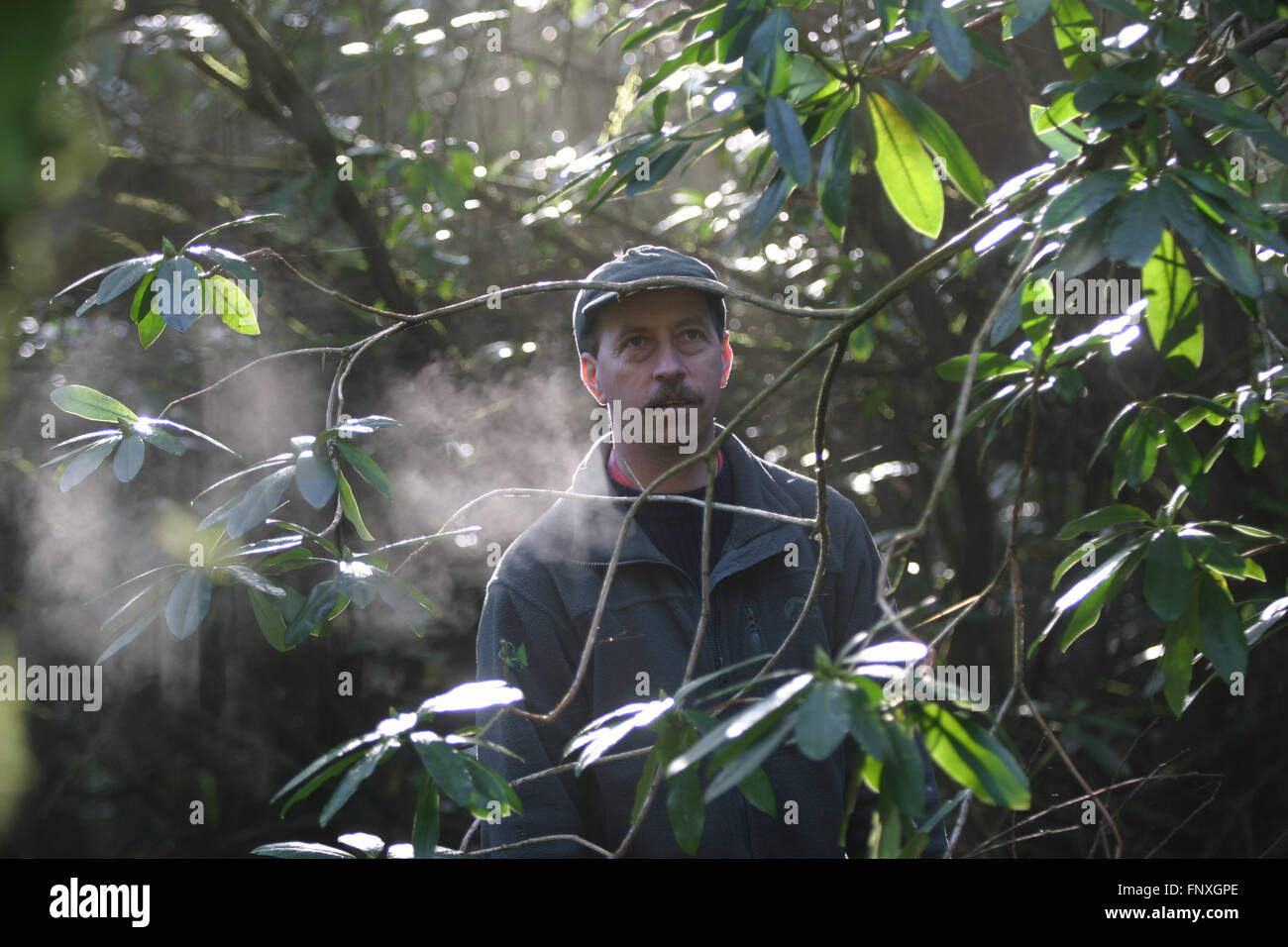 Rhododendron removal hi-res stock photography and images - Alamy
