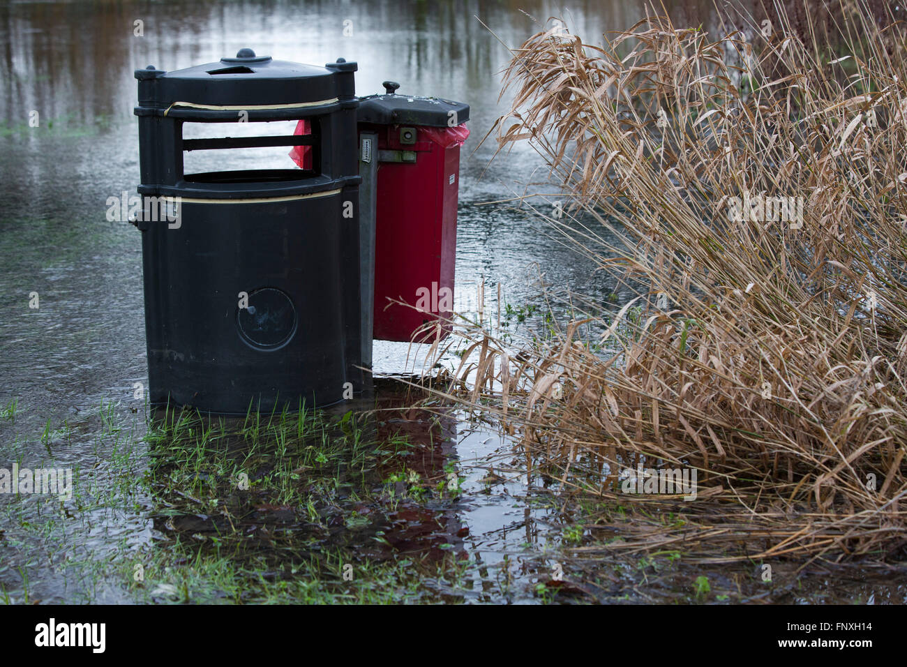 A rubbish or waste bin submerged half underwater after heavy rain in ...