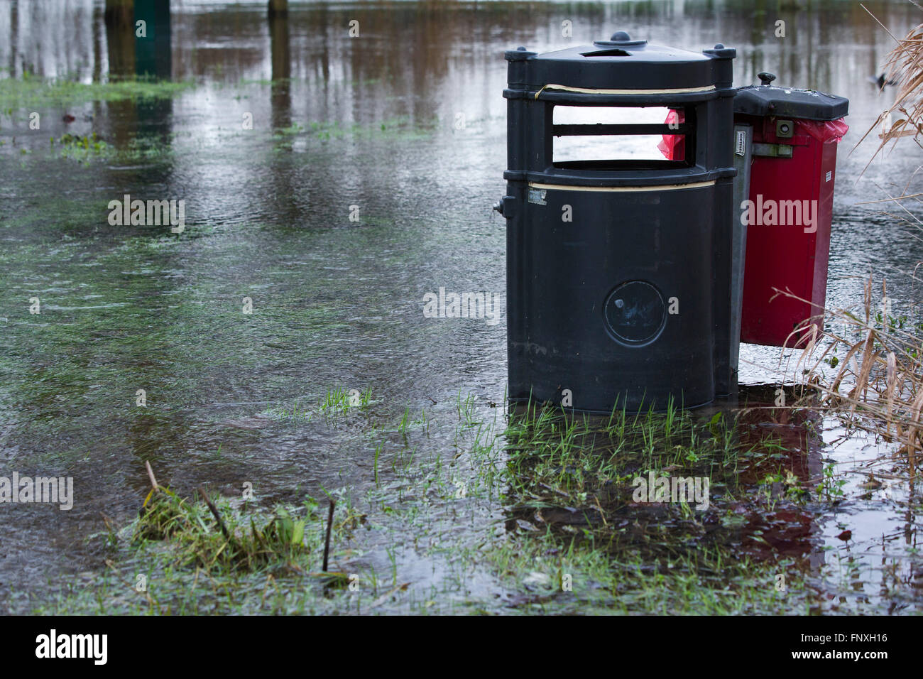 A rubbish or waste bin submerged half underwater after heavy rain in ...