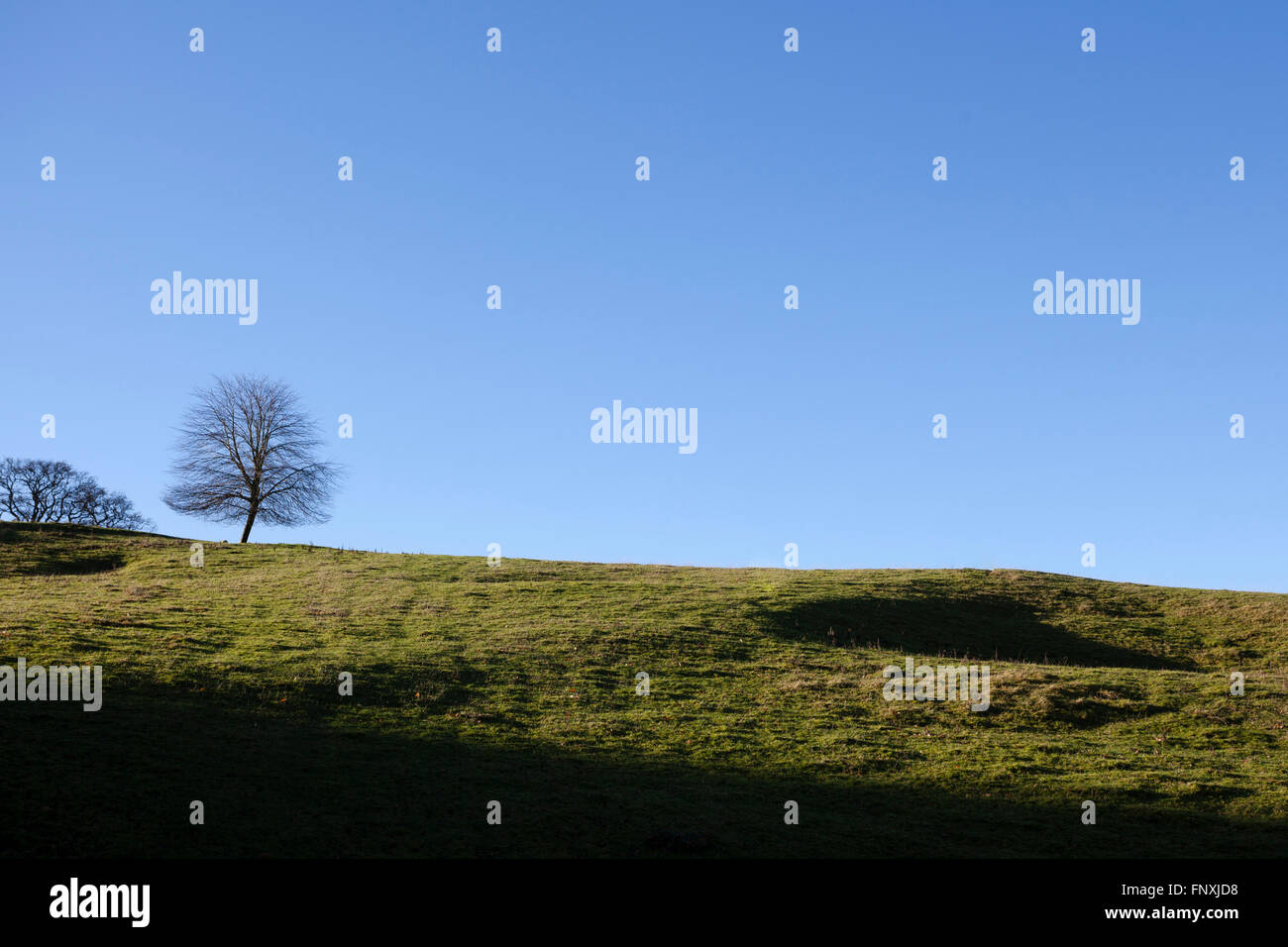 Christmas eve walk through Miserden PArk Stock Photo - Alamy