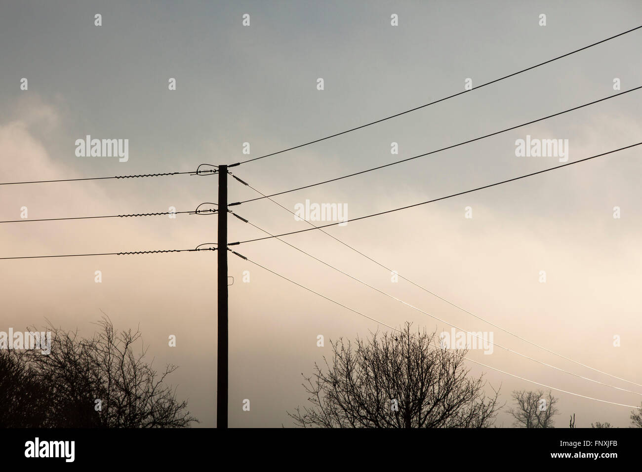 Communication,telephone or electrical power cables overhead set against ...