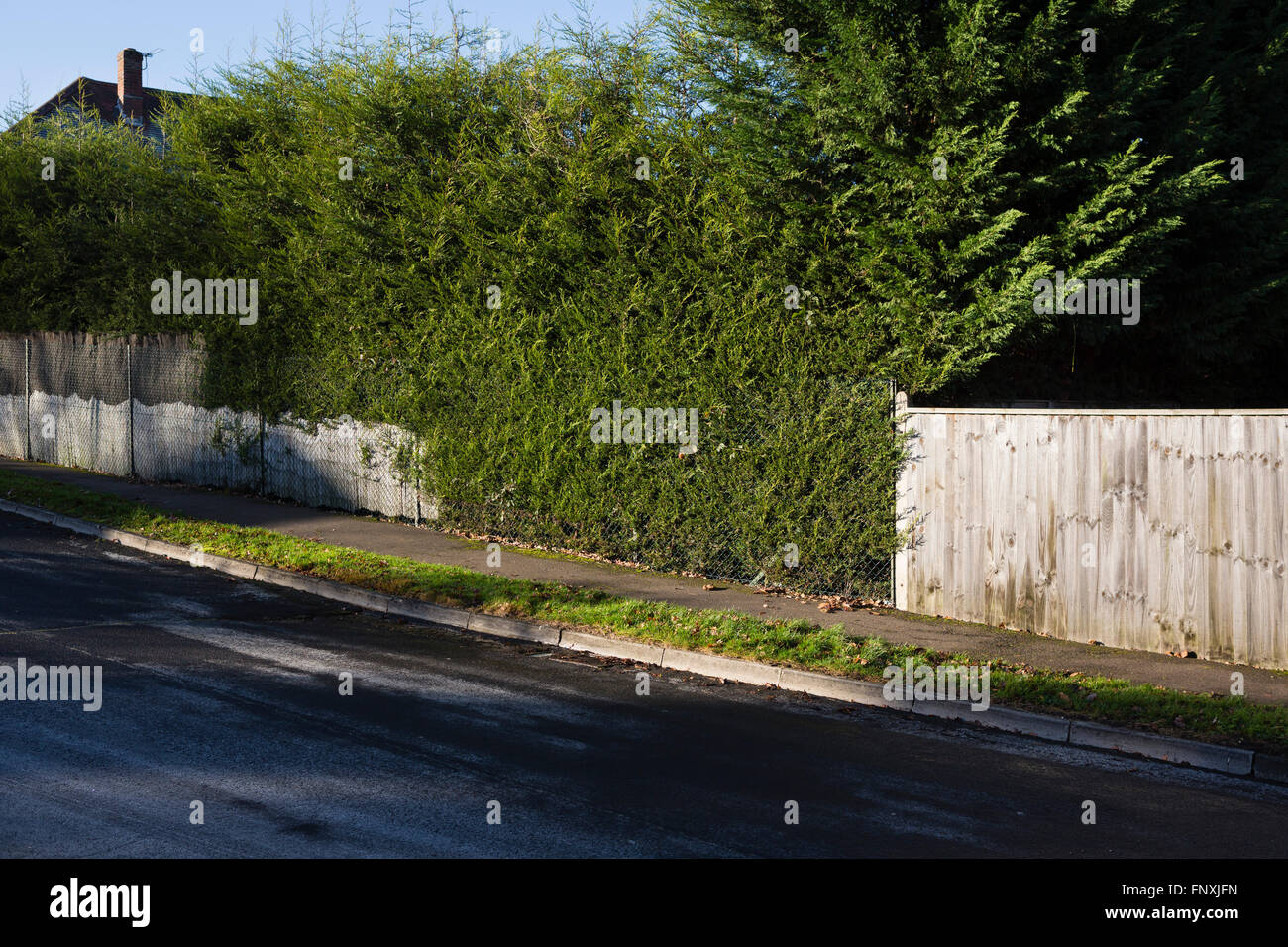 Dead hedge fence hi-res stock photography and images - Alamy