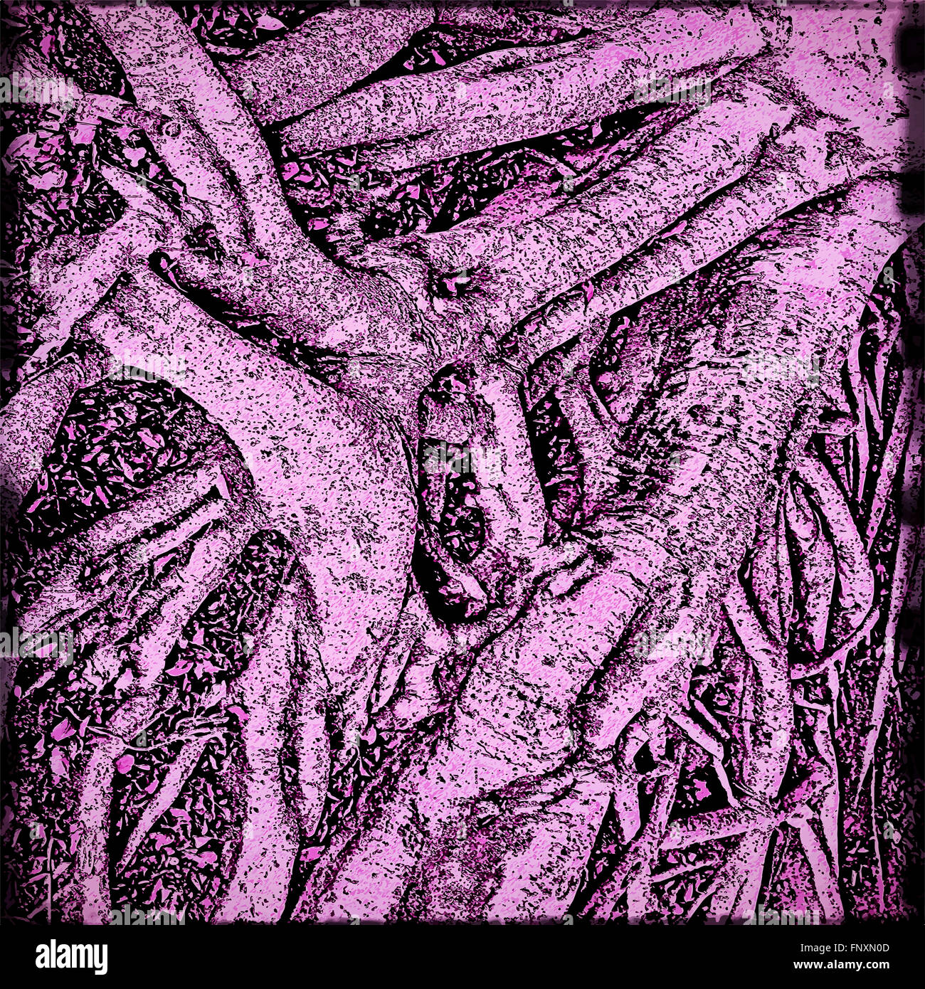 Twisting tree roots hi-res stock photography and images - Alamy