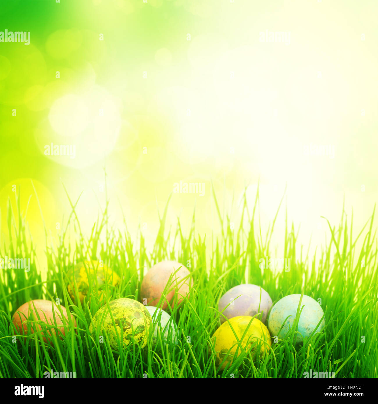 Easter eggs in grass Stock Photo - Alamy