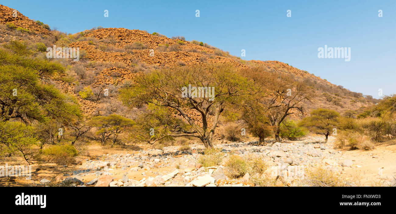 Hot desert conditions hi-res stock photography and images - Alamy