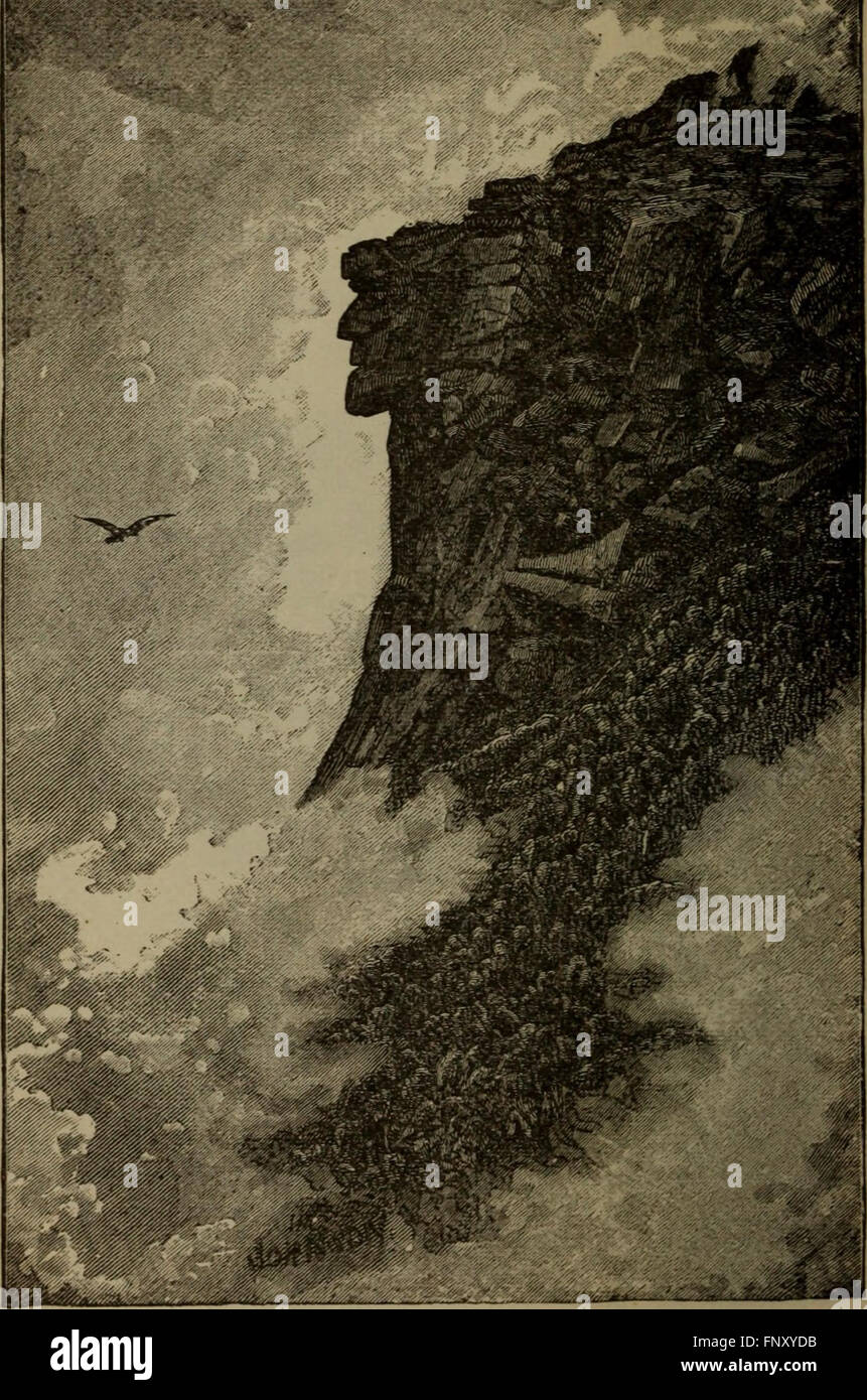 This collection of records from 1734 to 1916 offers historical ...