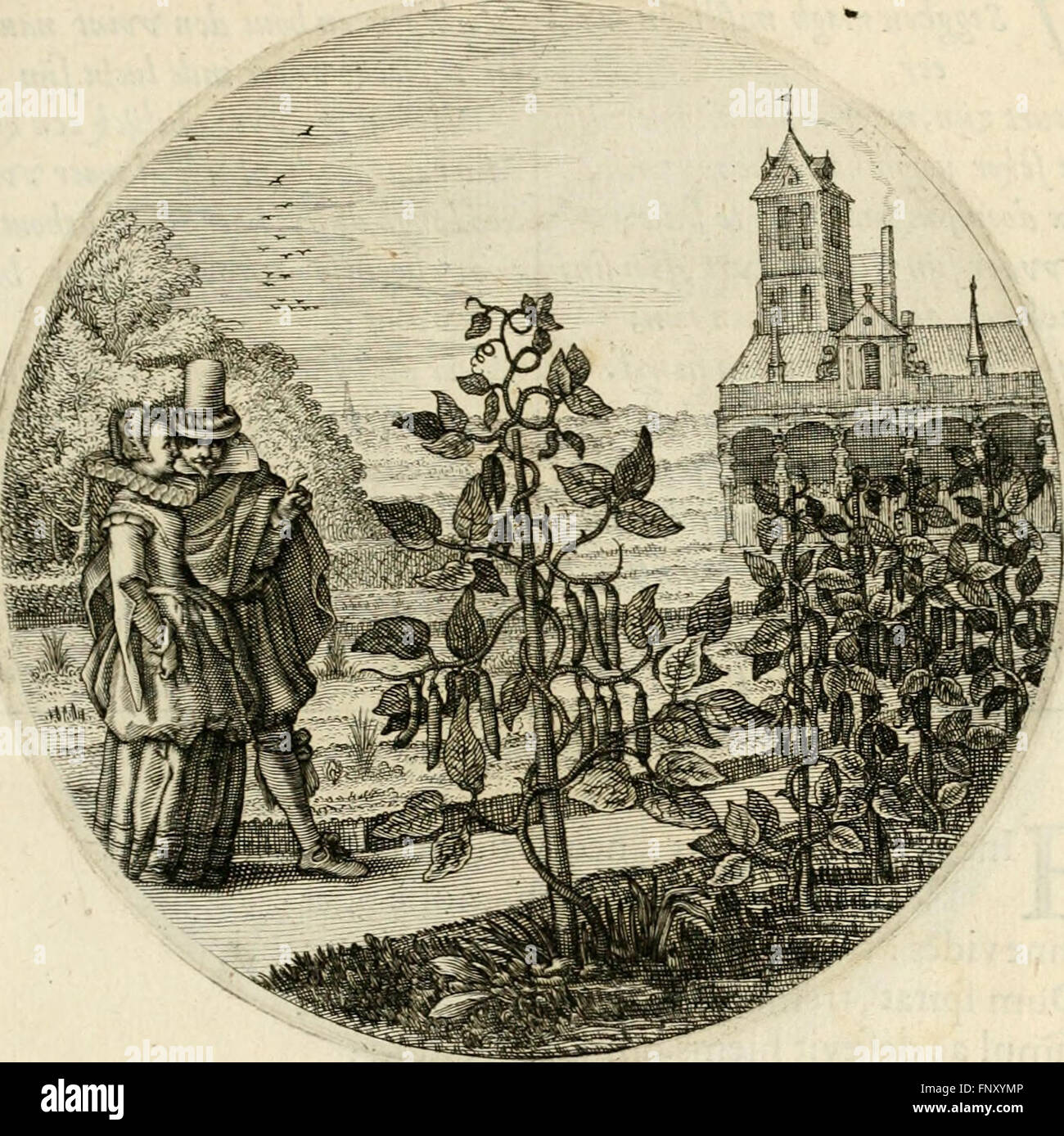 Allegory about the transience of the human life hi-res stock ...