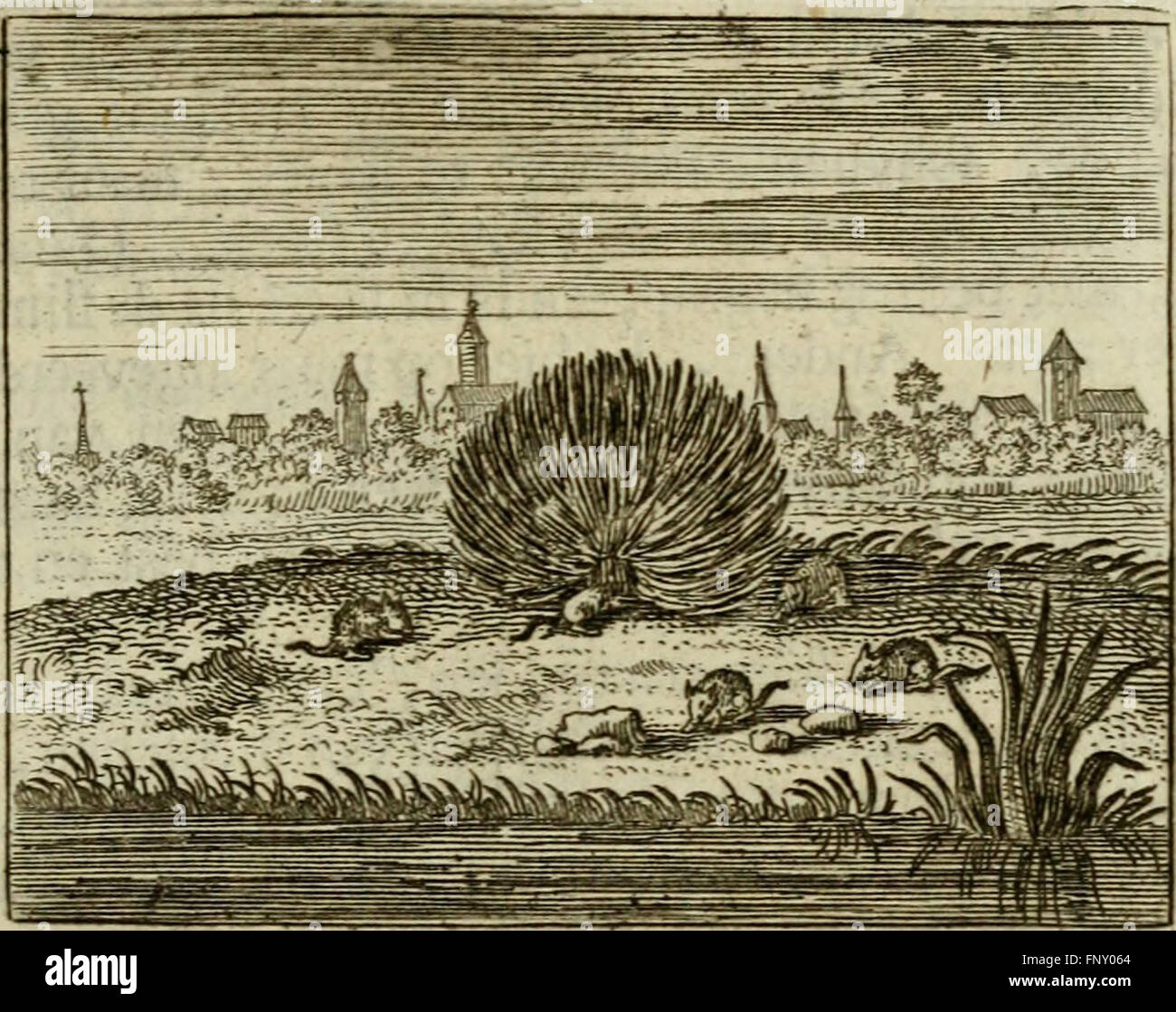 A 1779 collection of Dutch poetry and dramas, including themes of love ...