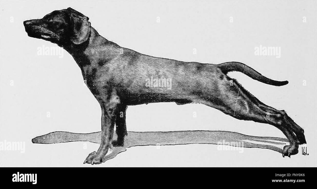 This 1912 text provides a comprehensive overview of the pathology and ...