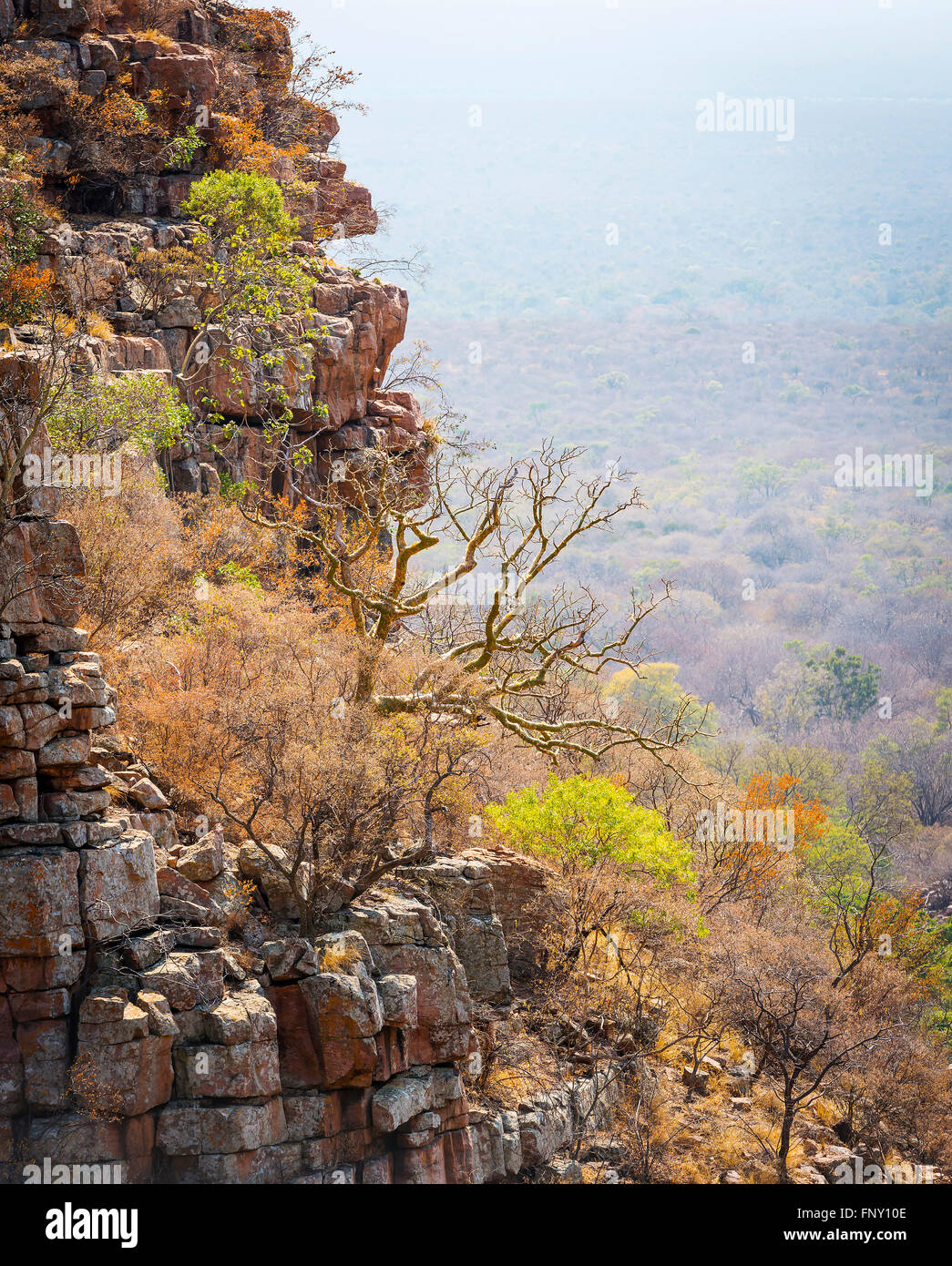 Moremi Gorge (Goo Moremi) is a deep ravine in rural Botswana, Africa ...
