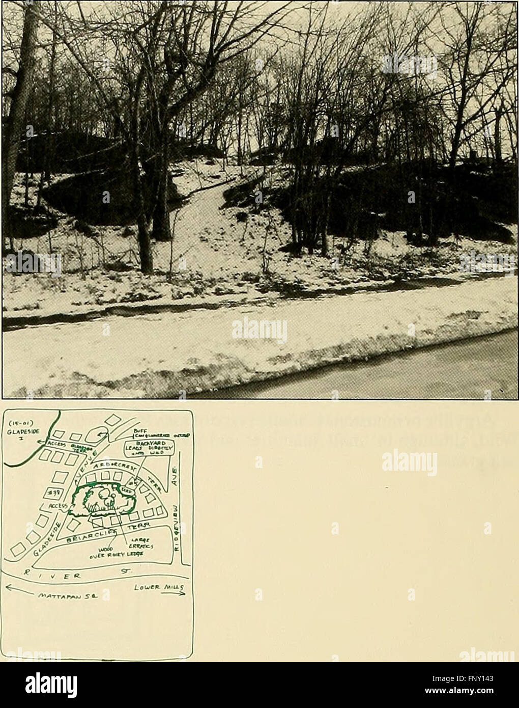 The 1990 Boston Urban Wilds Report provides an overview of urban ...