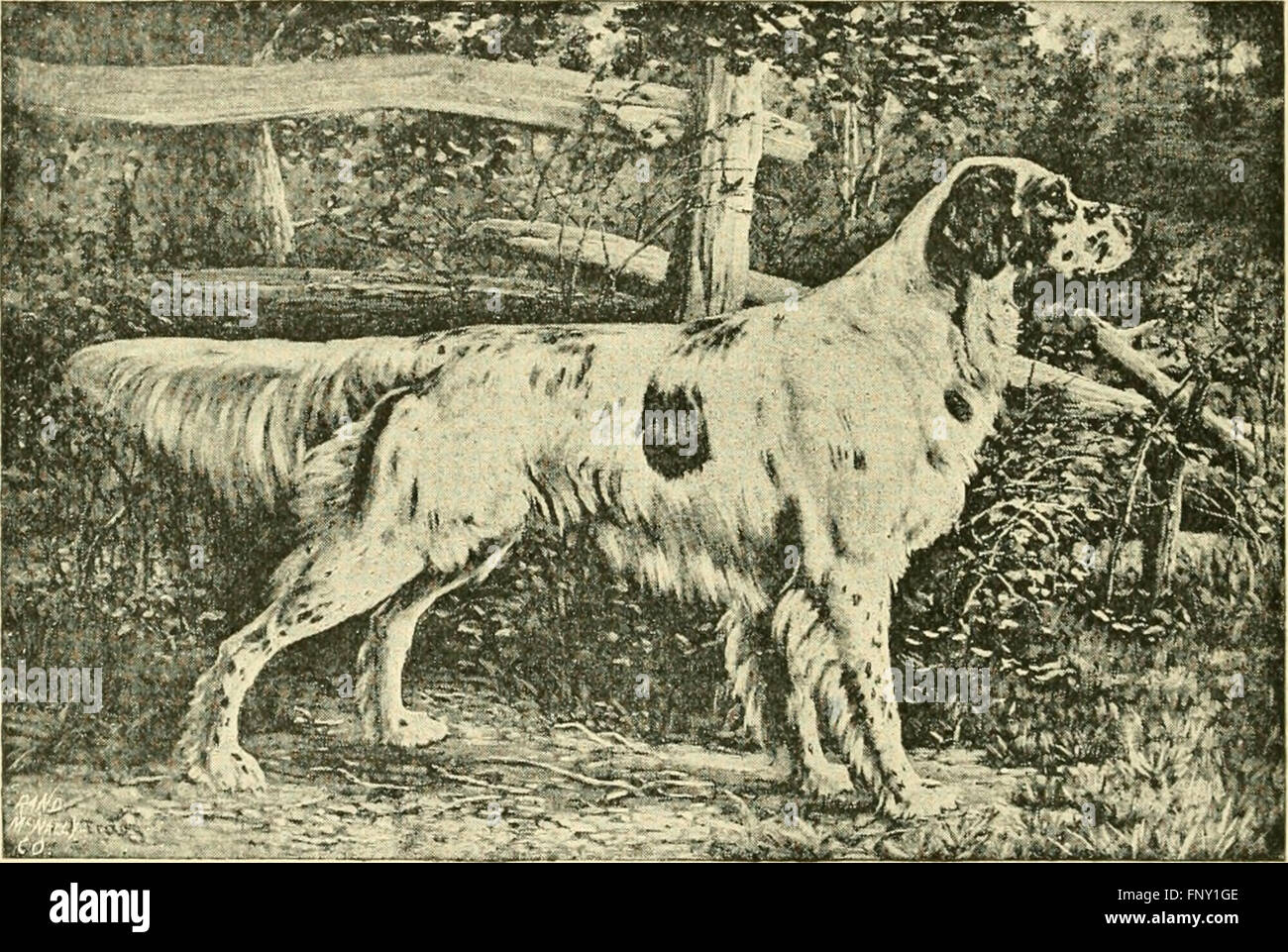 A 1891 comprehensive guide to the history, characteristics, and care of ...