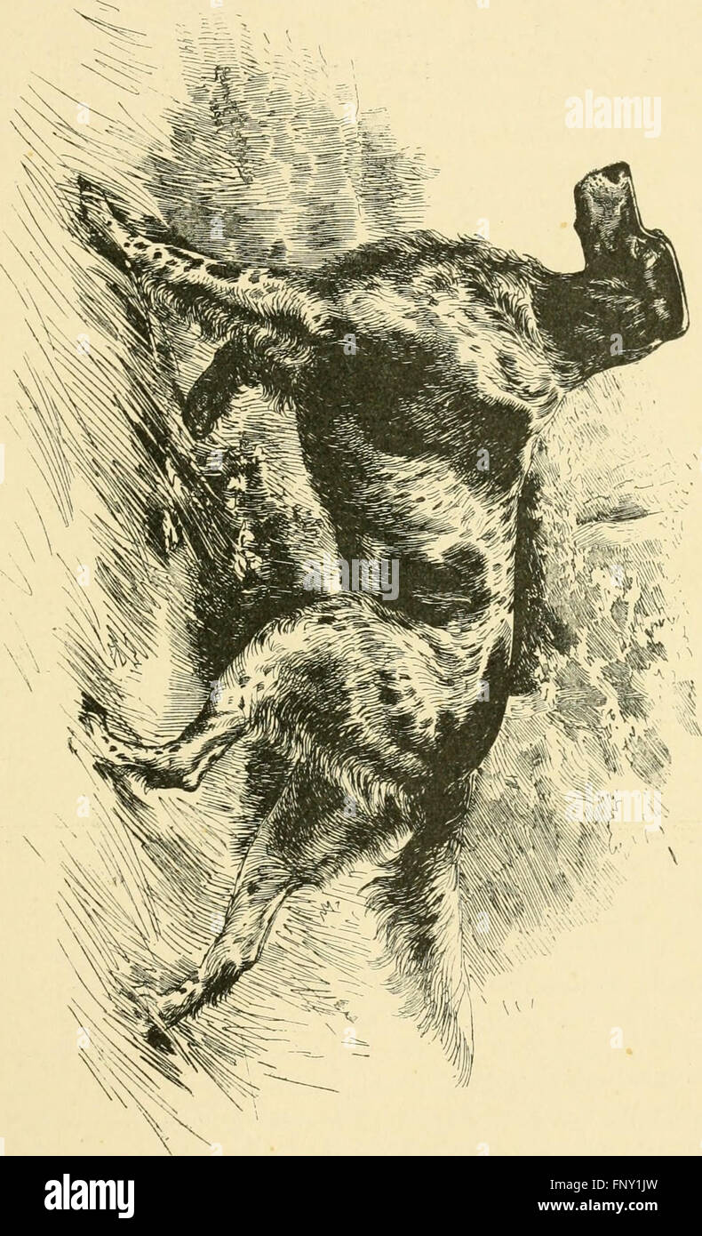 This 1891 book covers the history, origin, and development of various ...