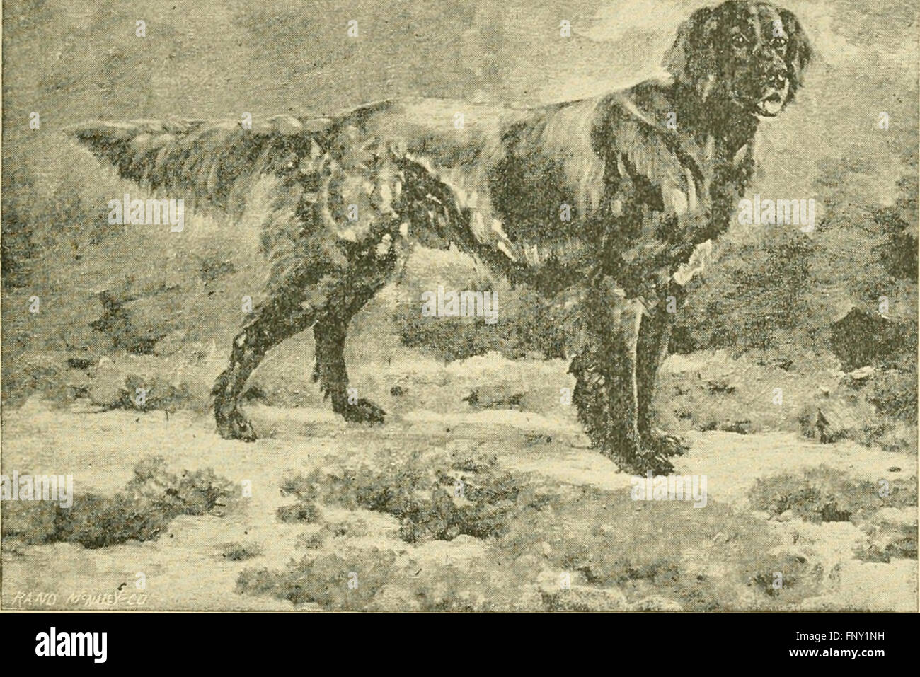 This comprehensive guide explores the origin and development of various ...