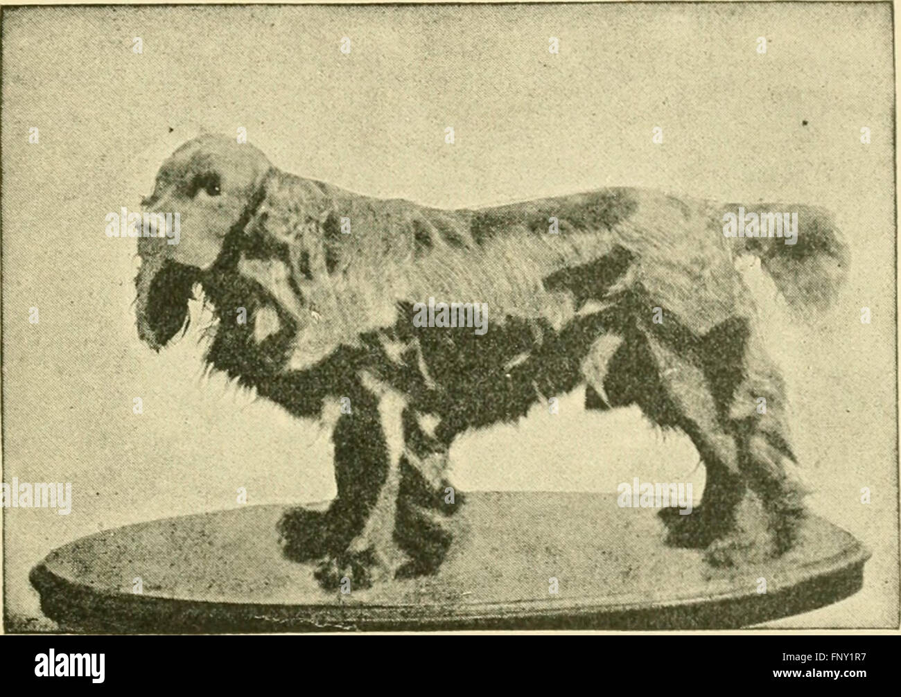 This 1891 work provides a comprehensive guide to the history ...
