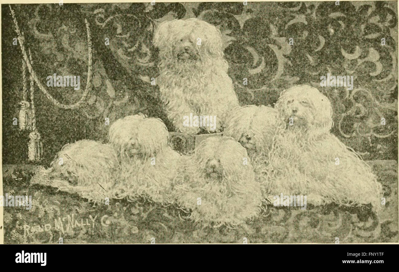 This 1891 guide covers the comprehensive aspects of dog breeding ...